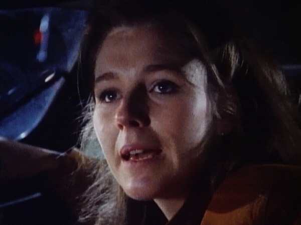 Picture of Minder (1979-1994)