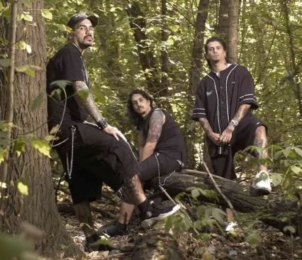 Picture of A.N.I.M.A.L.