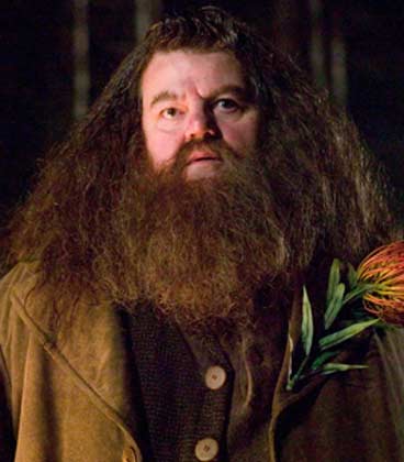 Robbie Coltrane image