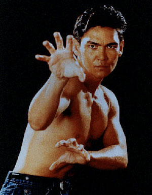 Picture of Don 'The Dragon' Wilson