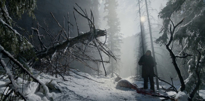 Picture of The Revenant