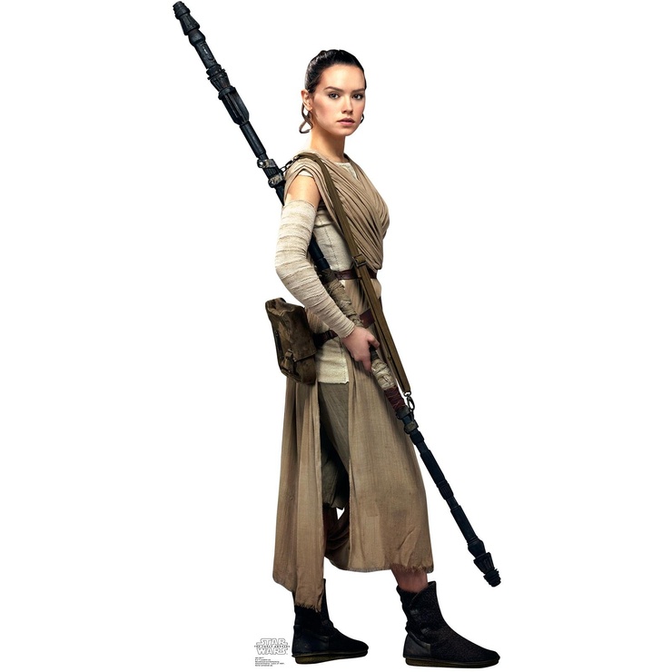 Picture of Rey Skywalker