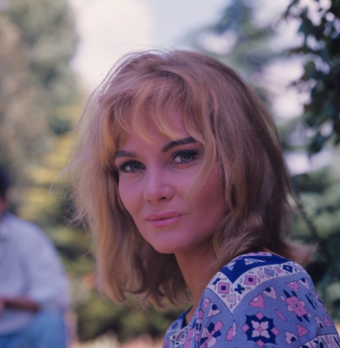 Picture of Diane Cilento