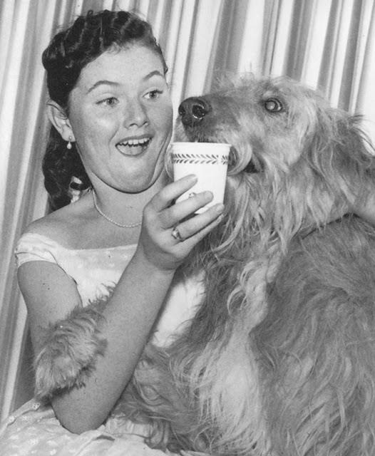 Picture of Noreen Corcoran