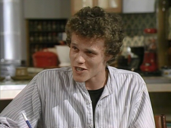 Picture of Butterflies (1978-1983)