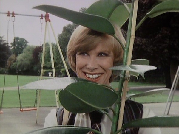 Picture of Butterflies (1978-1983)