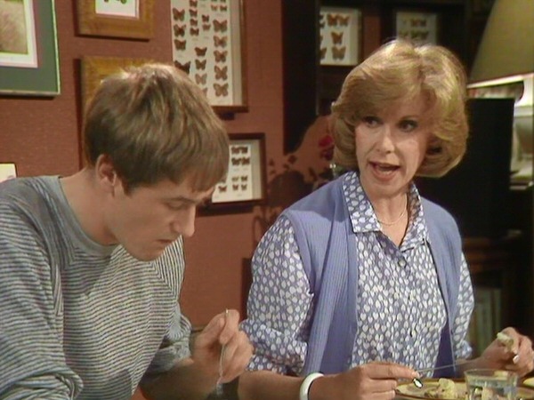 Picture of Butterflies (1978-1983)