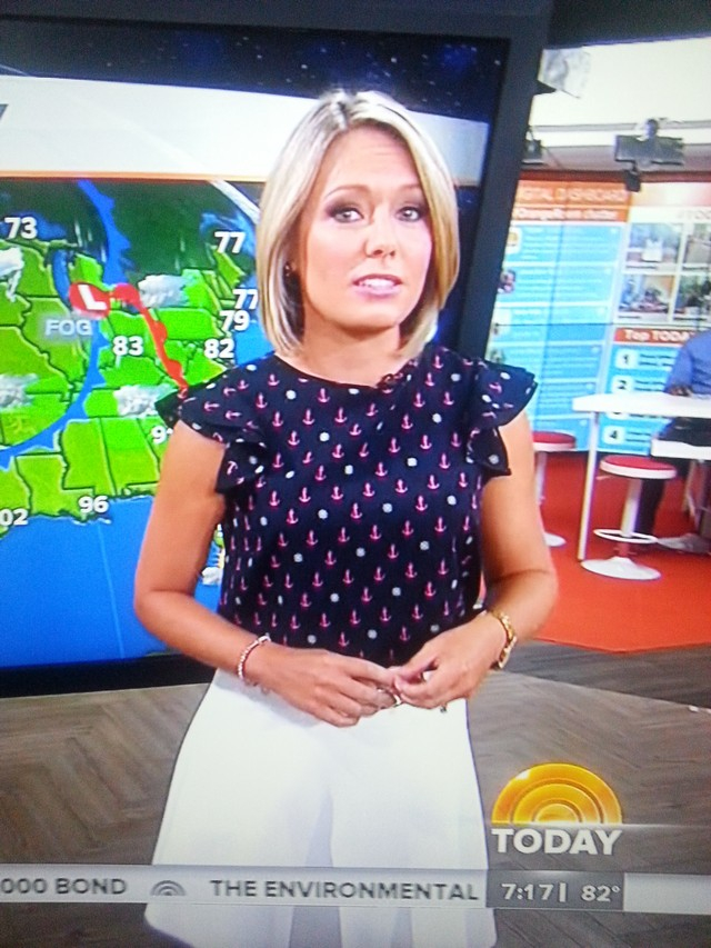 Dylan Dreyer image