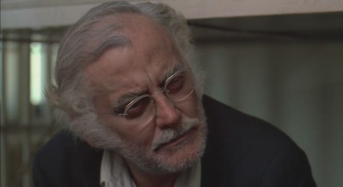 Picture of Harry and Tonto (1974)