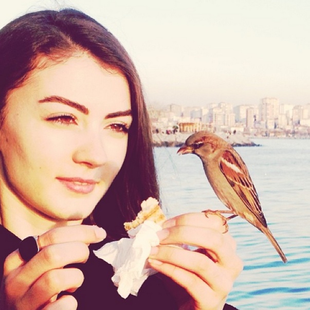 Picture of Burcu Özbek