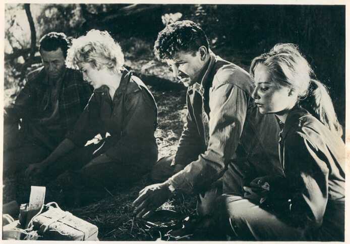 Operation Dames image