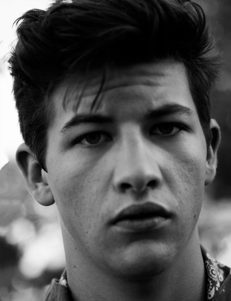Picture of Tye Sheridan