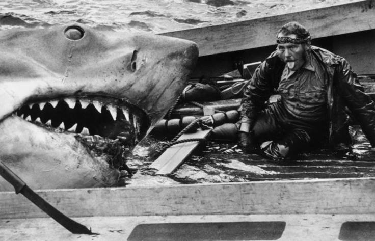 Picture of Jaws (1975)